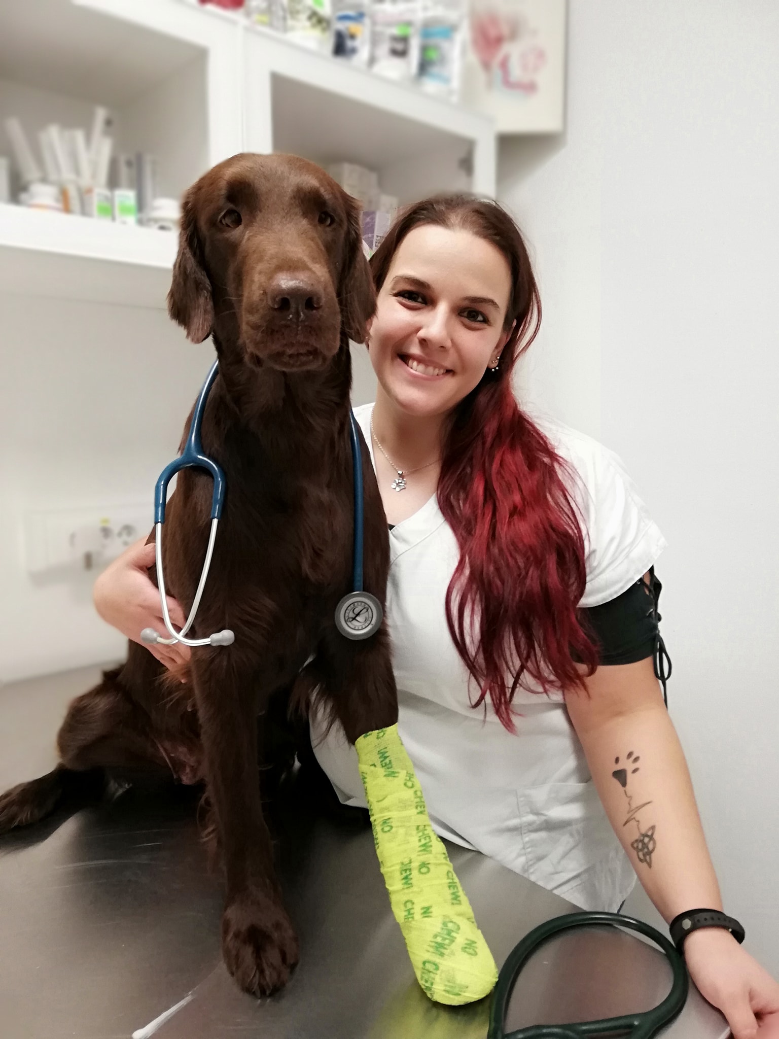 Zaposleni - Veterinarska Ambulanta Noe
